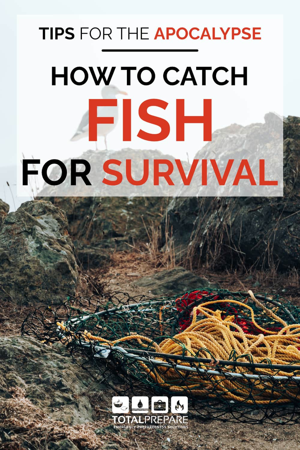 How to Catch Fish for Survival | Total Prepare Inc. Canada